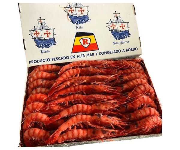 Gamba Roja Mediana