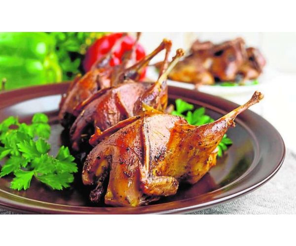Codorniz - Carnes